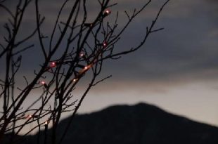 Setting Solstice Intentions - ZapOracle.com