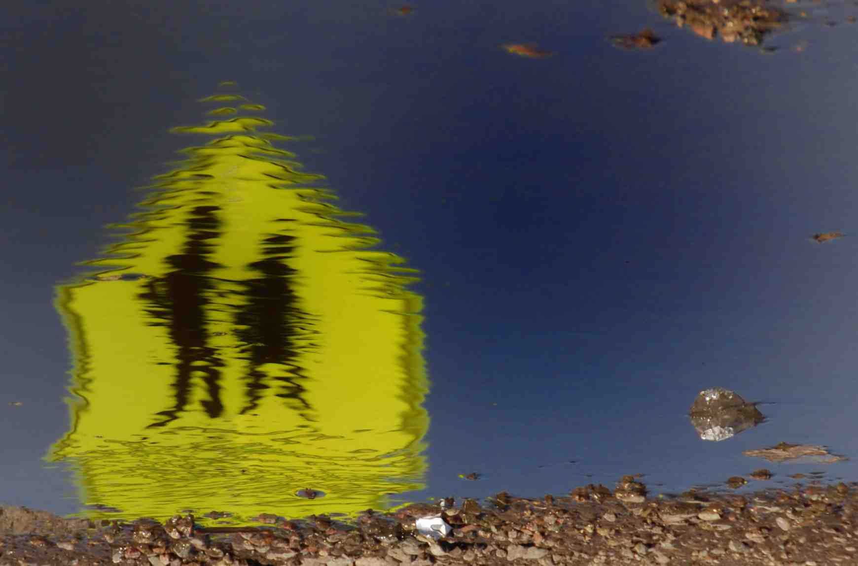 Lessons for an Entity Incarnating as a Mammal - ZapOracle.com